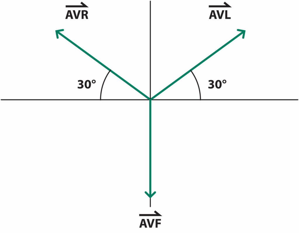 The Basics of ECG Interpretation (Part 1 – Anatomy and Physiology)
