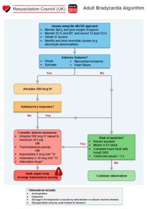als-bradycardia-algorithm - Medical Exam Prep