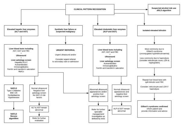 Interpreting Abnormal Liver Function Tests Medical Exam Prep interpreting-abnormal-liver-function-tests-medical-exam-prep